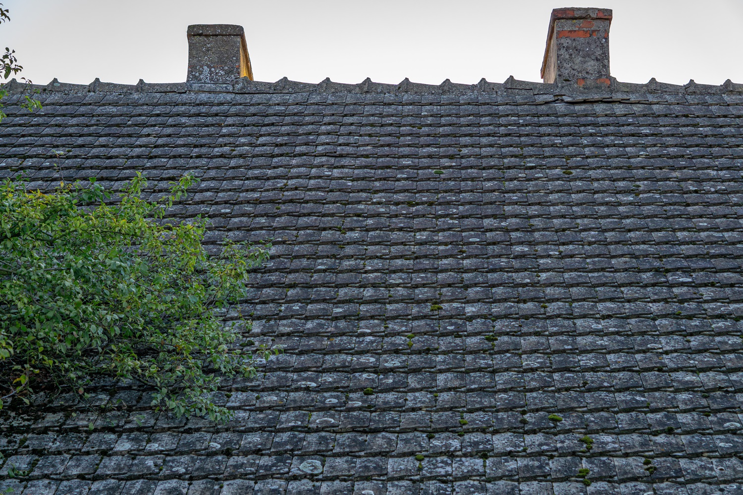 The U.S. Finally Banned Asbestos. Here’s What You Need to Know ...